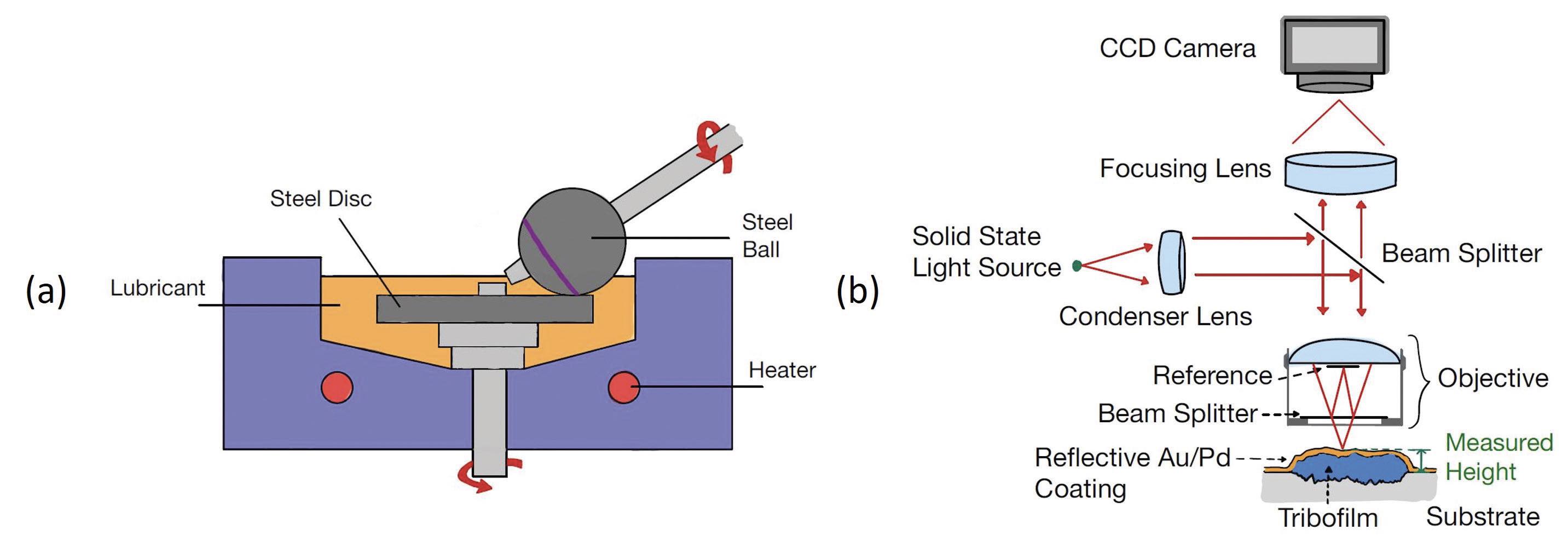 Scholarship Research